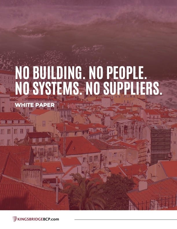 No Building No People No Systems No Suppliers White Paper